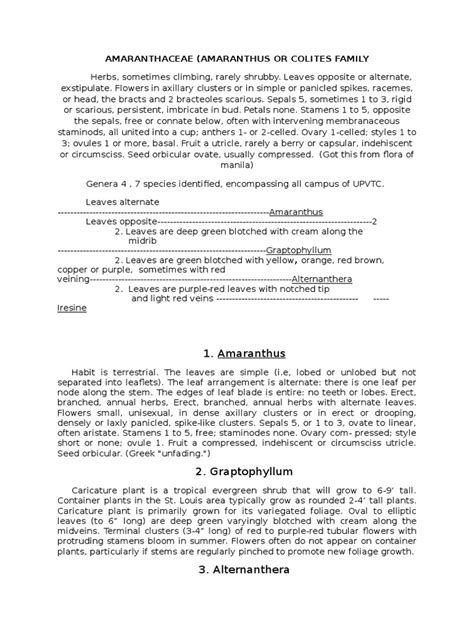 Amaranthaceae And Amaryllidaceae Pdf Flowers Fruit Amaranthaceae And Amaryllidaceae Pdf Flowers Fruit
