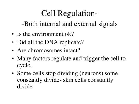 Ppt The Cell Cycle Cellular Reproduction Powerpoint Presentation Id 4574721