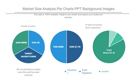 Market Size Analysis Pie Chart Target Diagram EdrawMax EdrawMax