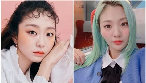 닮은 꼴 연예인들 인스티즈 Instiz 이슈 카테고리