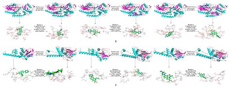 Molecular Modification Of Fluoroquinolone Biodegrading Enzymes Based On