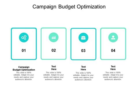 Campaign Budget Optimization Ppt Powerpoint Presentation Infographics