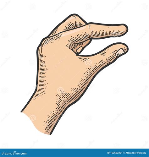 Hand Showing Tiny Small Size Sketch Vector Stock Vector Illustration