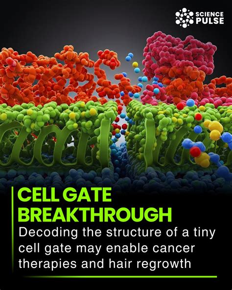 The Science Scientists Have Made A Remarkable Discovery By Unlocking