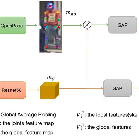 The Flowchart Of Global And Skeletal Features Denotes An Outer Product Download Scientific