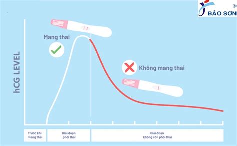 Nồng độ HCG đạt đỉnh vào giai đoạn nào của thai kỳ Bệnh Viện Bảo Sơn