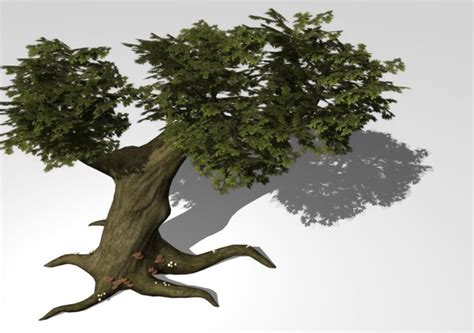 My Tree Cgtrader