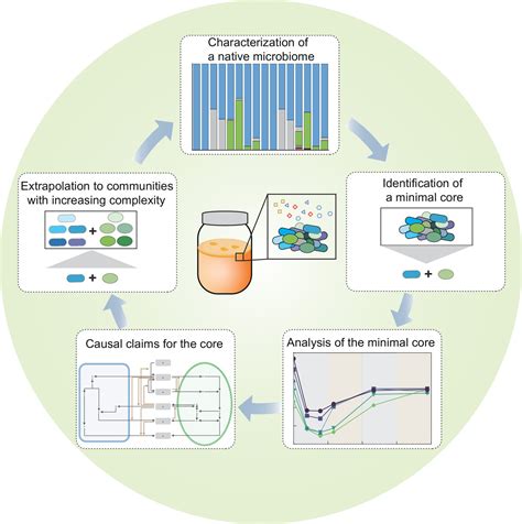A Systematic Complexity Reduction Approach To Dissect The Kombucha Tea Microbiome Elife