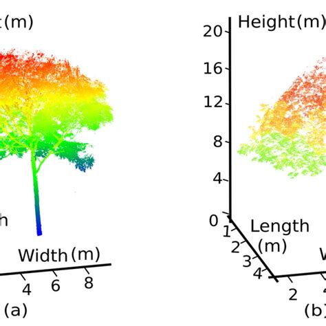 Scanned Point Clouds Of Two Typical Tree Types In Two Different Forest