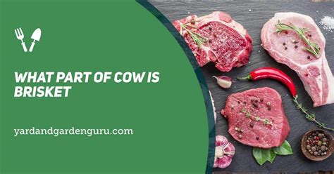 Where Is A Brisket On A Cow Complete Guide And Key Details Taft