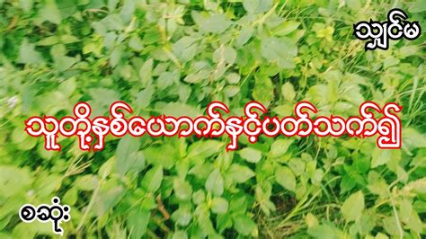 သူတို့နှစ်ယောက်နှင့်ပတ်သက်၍ သျှင်မ စဆုံး Youtube