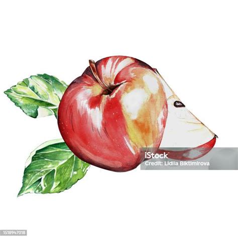 수채화 세트 빨갛고 육즙이 많고 잘 익은 사과 엽서 패키지 디자인 가을에 대한 스톡 벡터 아트 및 기타 이미지 가을 건강한 식생활 과일 Istock