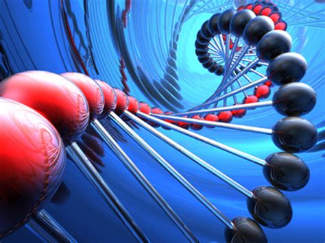 Next Generation Sequencing Improved By Genome Mapping