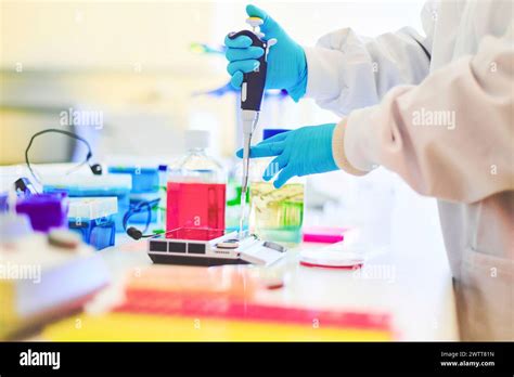 Labratory Scientist Extracting Dna And Biological Material For Testing From Test Tube On His