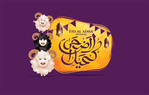이드 알아드하 벡터 일러스트레이션 무슬림 휴일 이드 알 아드하 램 화이트와 검은 양을 희생 그래픽 디자인 장식 Kurban Bayrami 달 양과 램프 아랍어번역 이드