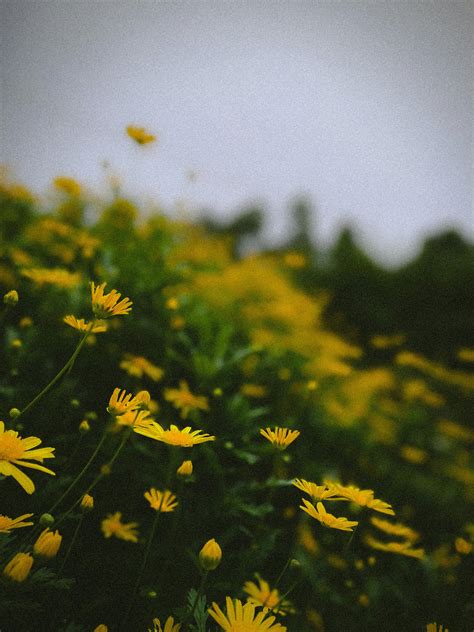 100000 Foto Koleksifotochikabandung Terbaik · Unduh Gratis 100