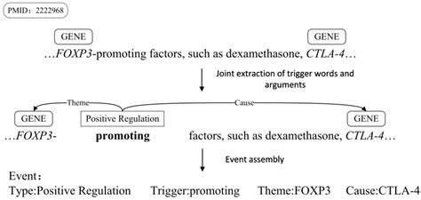 [논문 리뷰] Multi Layer Sequence Labeling Based Joint Biomedical Event Extraction