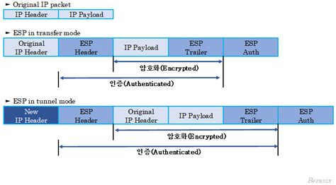 네트워크 보안 기술