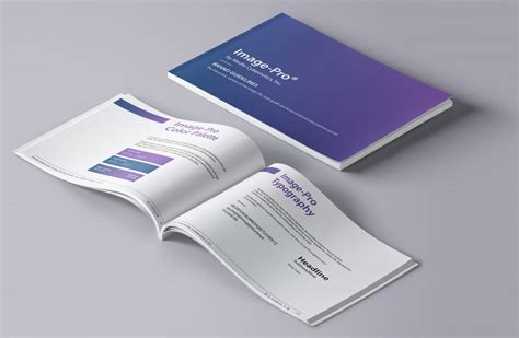 Brand Style Guide Media Cybernetics Image Pro Talia Faigen