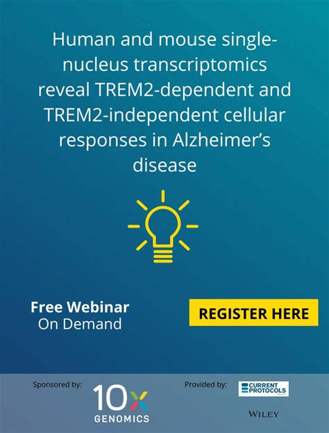 Pdf Multimodal Neuroimaging In Anorexia Nervosa