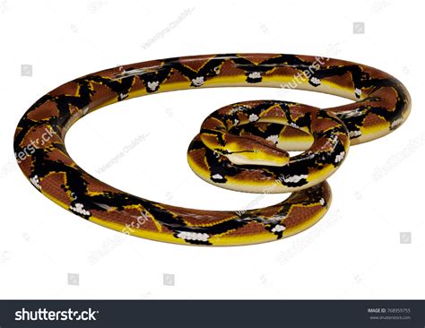 3d Rendering Reticulated Python Python Reticulatus Ilustración De Stock 768959755 Shutterstock