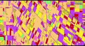 AGRICULTURAL CROP CLASSIFICATION