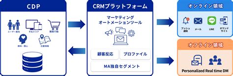 Cdp×personalized Real Time Dm｜ソリューション｜ntt Ad Inc