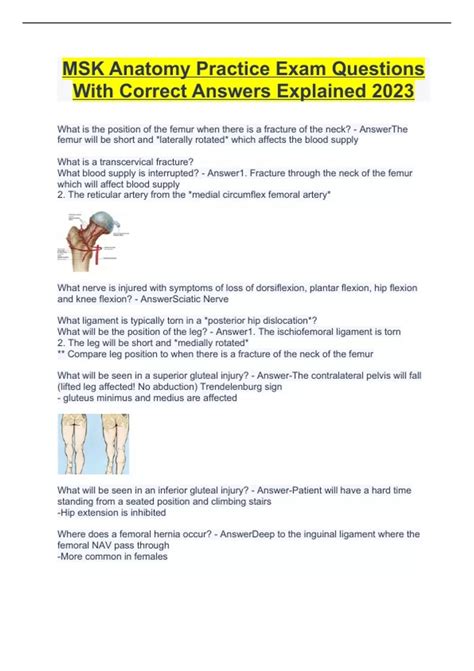 Msk Anatomy Practice Exam Questions With Correct Answers Explained 2023