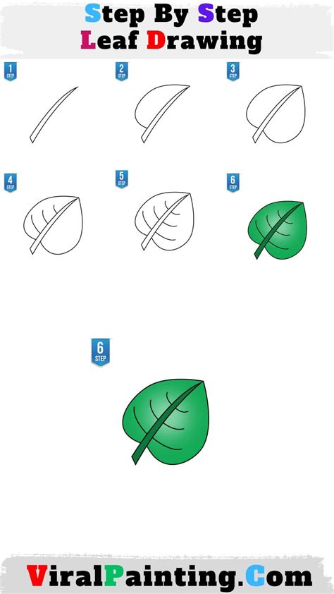 This Step By Step Guide On How To Draw A Leaf Was Curated To Have You Drawing Beautiful Leaves