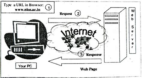 Nios Class 12 Data Entry Operations Chapter 10 Introduction To Internet