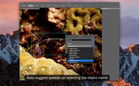 About Bounding Box Localization Part 1 2017 Deep Learning Course Forums