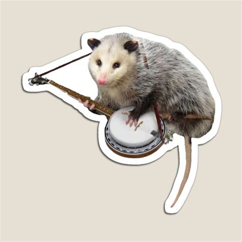 Opossum Playing Banjo Magnet For Sale By Tee St0ry Redbubble