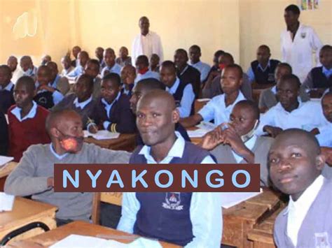 Nyabururu Girls Kcse Results 2025 Location Mean Score Knec History