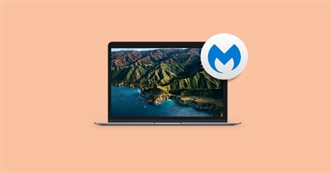 The Best Alternatives To Malwarebytes For Mac Setapp