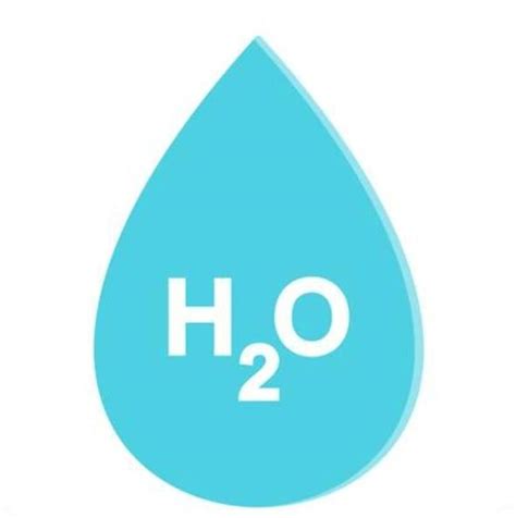 ს ს გორგასალი