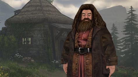 Hagrid Harry Potter