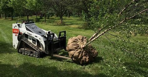 Tree Spades Oxford Insta Shade Tree Spades Oxford Insta Shade