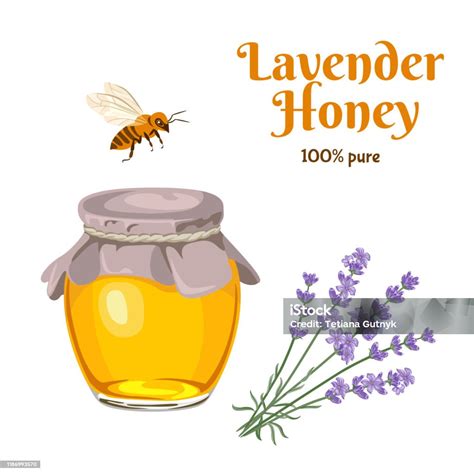 유리 항아리에 라벤더 꿀 꿀벌과 흰색 배경에 고립 된 라벤더 식물의 나뭇 가지 만화 간단한 플랫 스타일의 달콤한 건강 식품의 벡터 그림입니다 0명에 대한 스톡 벡터 아트 및