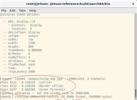 Jetson Nano Object Detection And Image Classification NERC Constructing A Digital Environment