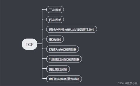Tcp和udp C代码实战c Tcp Udp Csdn博客
