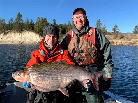 Is Whitefish A Good Fish To Eat At Roy Bush Blog