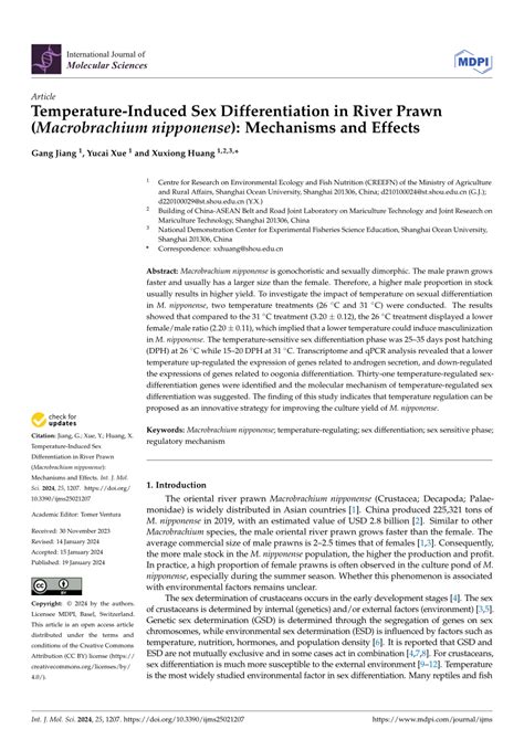 Pdf Temperature Induced Sex Differentiation In River Prawn Macrobrachium Nipponense
