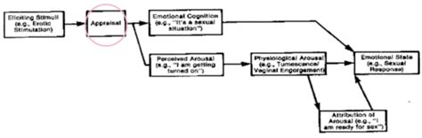 PSYC436 FINAL Flashcards Quizlet PSYC436 FINAL Flashcards Quizlet