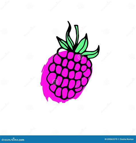 Berry Food Vector Fruit Ripe Sweet Raspberry Healthy Summer Fresh Stock Vector Illustration Of