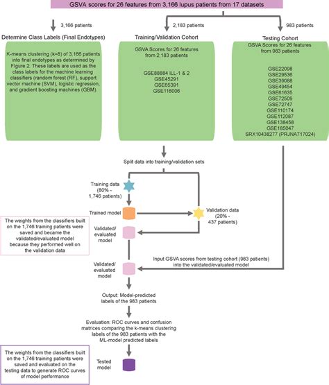 Experimental Design Of Ml Models To Classify Patients Into Final Eight Download Scientific