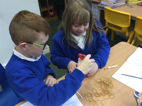 Evolution And Inheritance Barley Mow Primary Babe