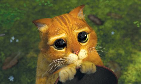 Puss In Boots Cute
