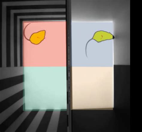 cpp条件性位置偏爱视频分析系统 北京众实迪创科技发展有限责任公司