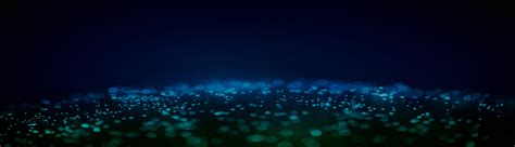 Id Photonics 品牌 凌云光技术股份有限公司