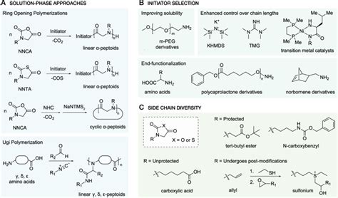 Solution Phase Peptoid Synthesis A Solution Phase Synthetic Download Scientific Diagram